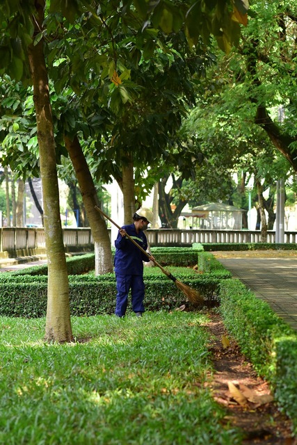 Garden Maintenance Checklist Keeping Your Outdoor Space Thriving